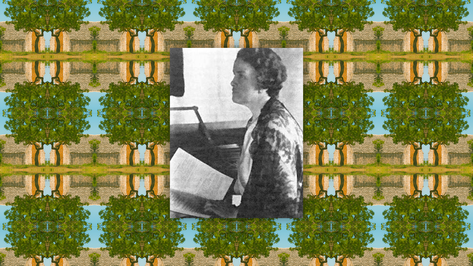 193/250: Mary Howe • VAN Magazin